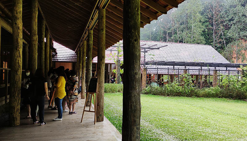 Janda Baik Day Trip: The Pineyard and Pinto Coffee - A Girl Named Clara