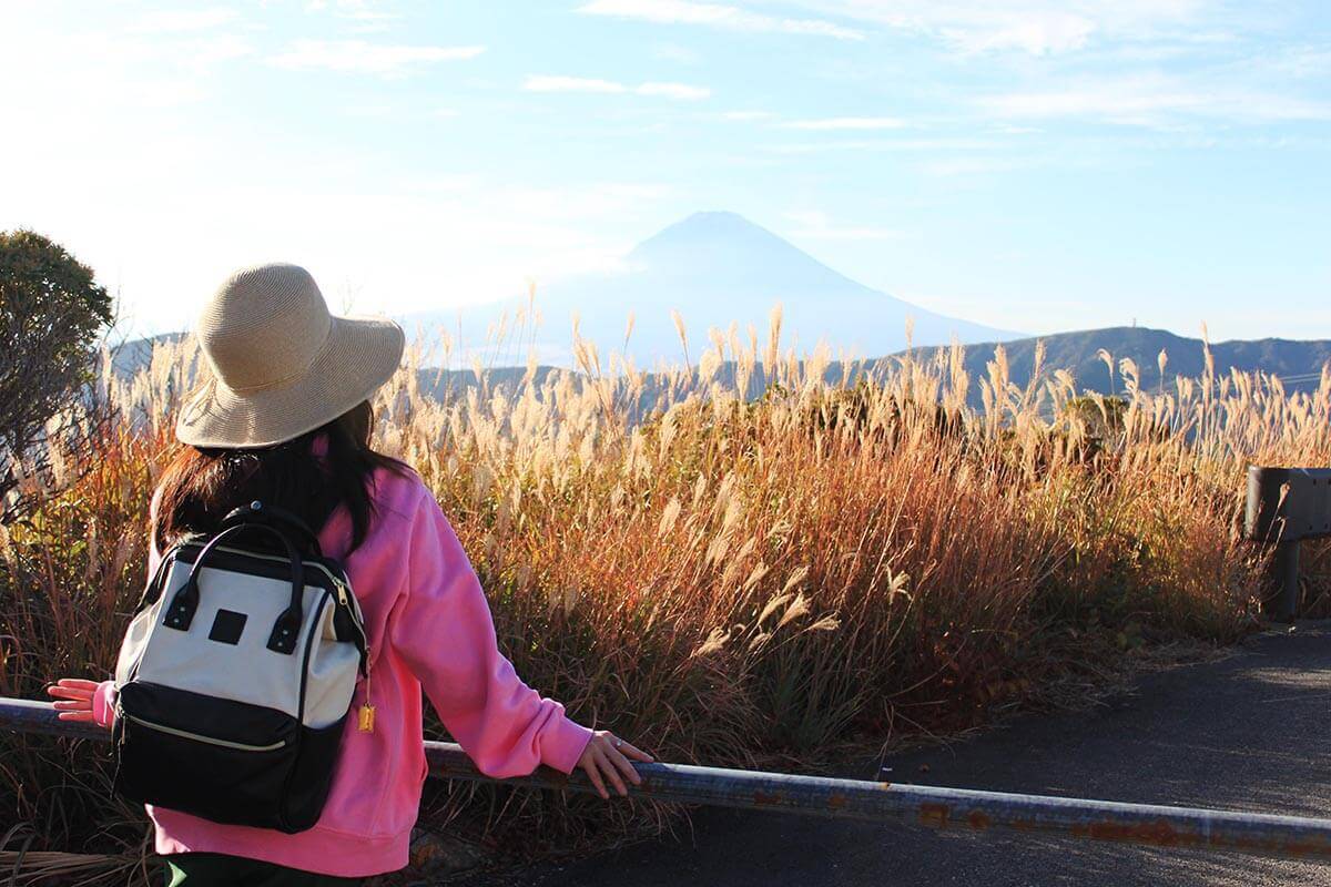 Mount Fuji, Japanese Snacks, and Guesthouse Gaku Hakone - A Girl Named ...